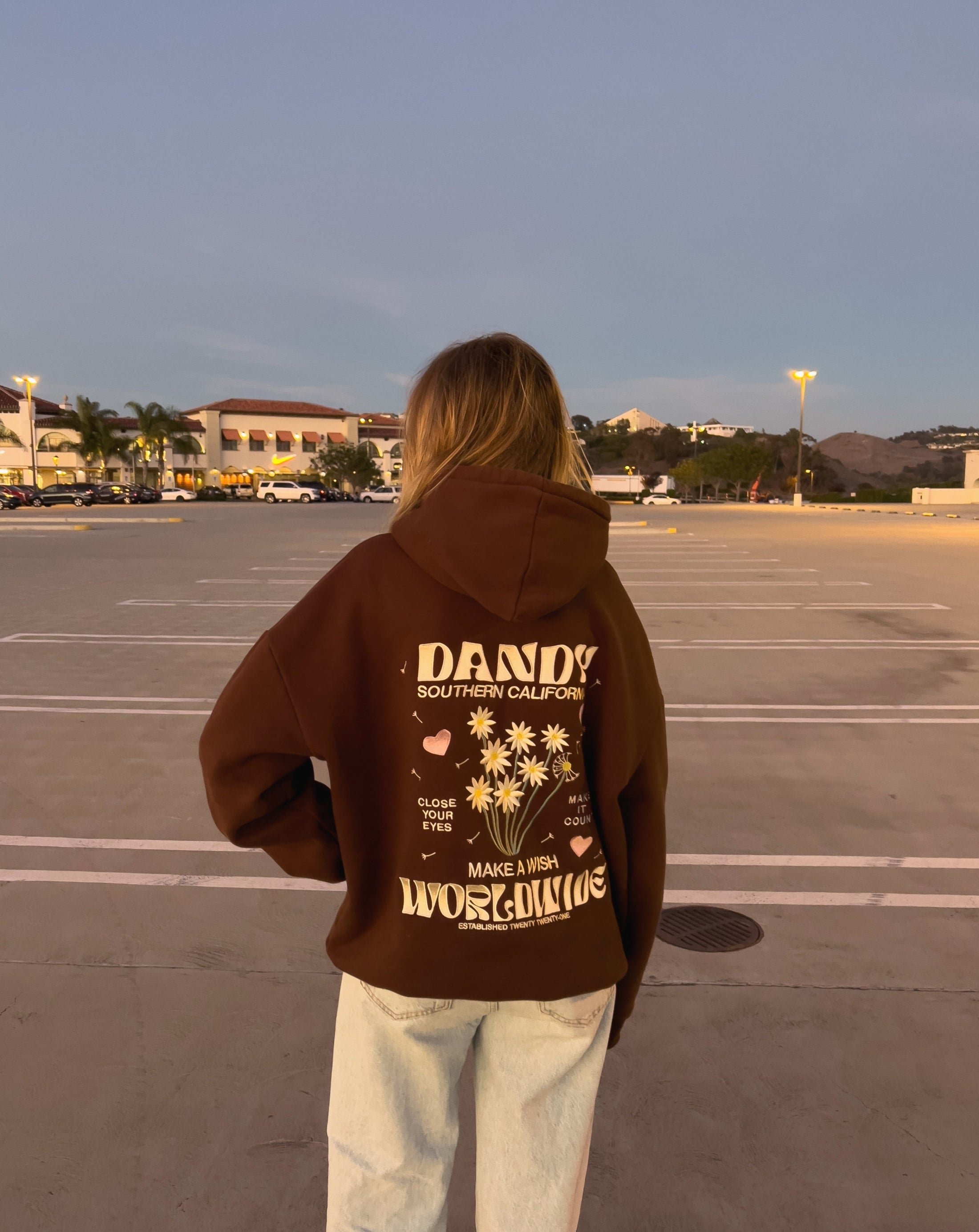"Make a Wish" Embroidered Hoodie – Dandy Worldwide
