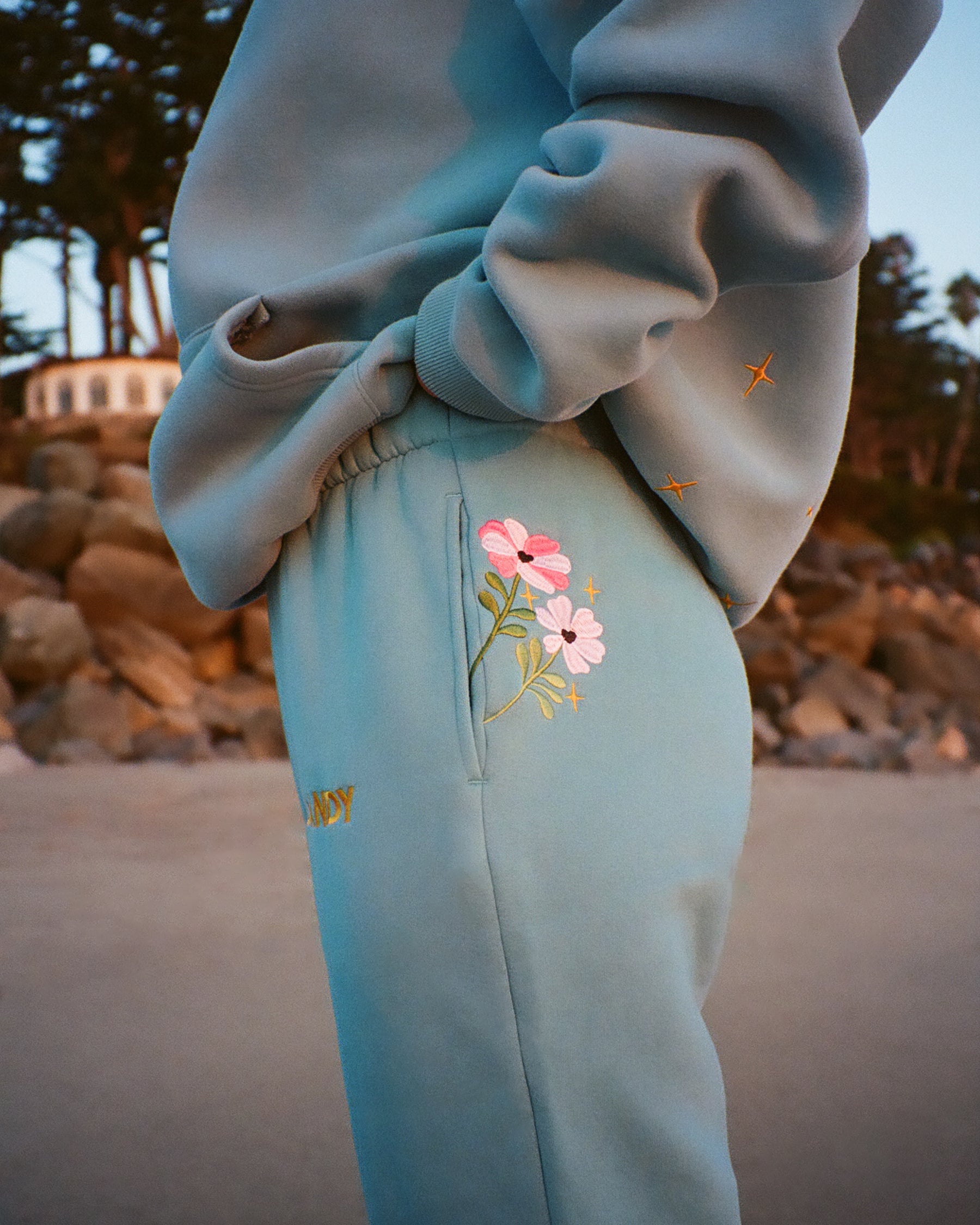 Dandy Worldwide: Your New Favorite Hoodie