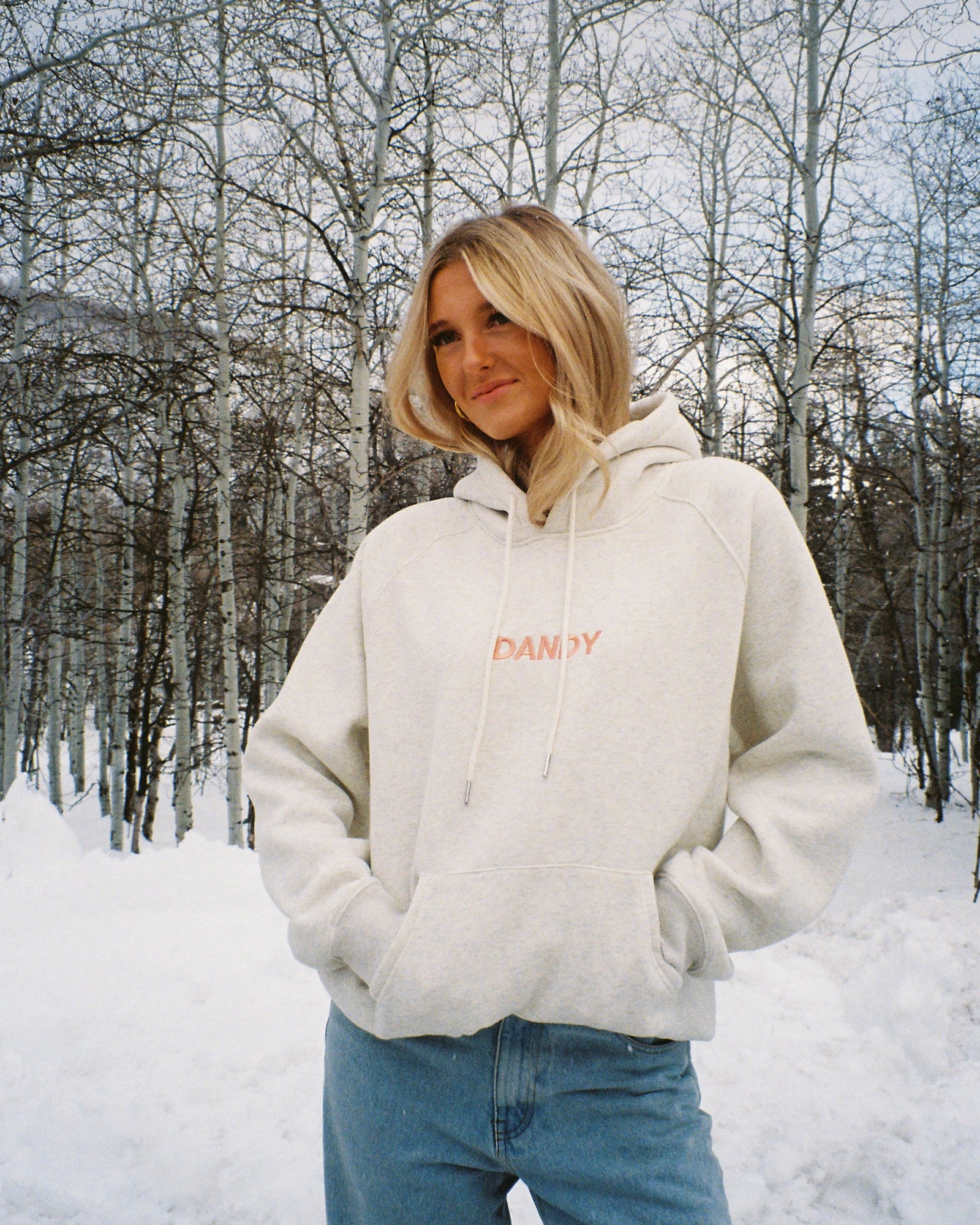 Lets Watch The Sunset Oversized Lux Hoodie In Heather Gray
