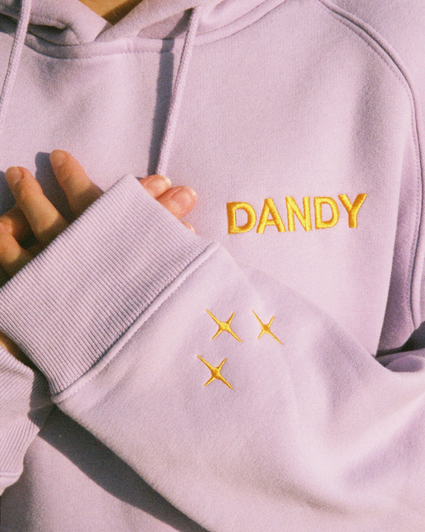 "Gift Giving" Oversized Lux Hoodie in Lavender – Dandy Worldwide